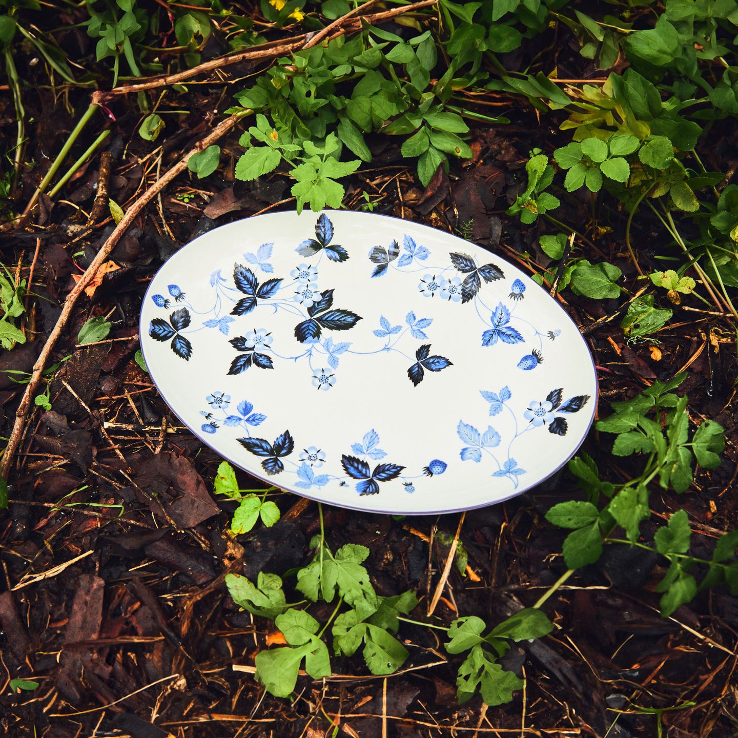 Wild Strawberry Inky Blue Side Plate | Wedgwood