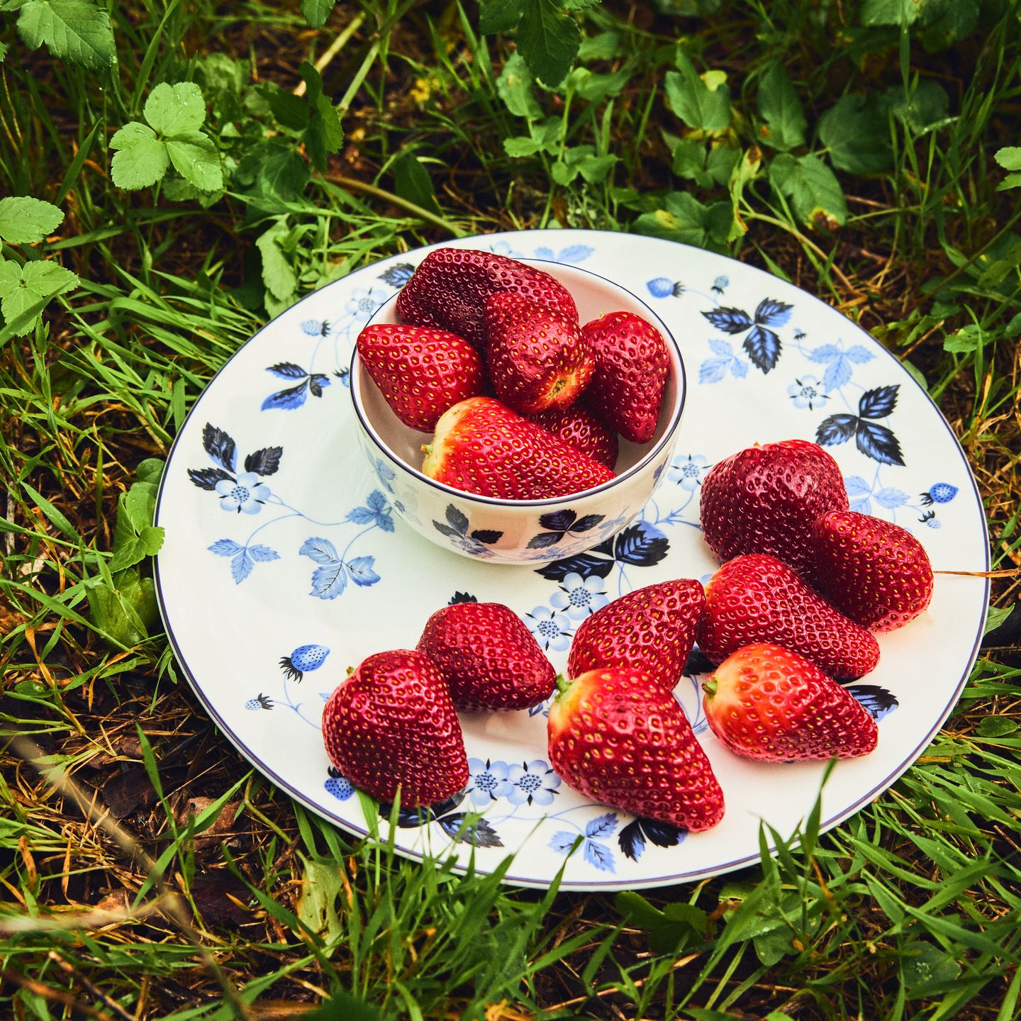 Wild Strawberry Inky Blue Side Plate | Wedgwood